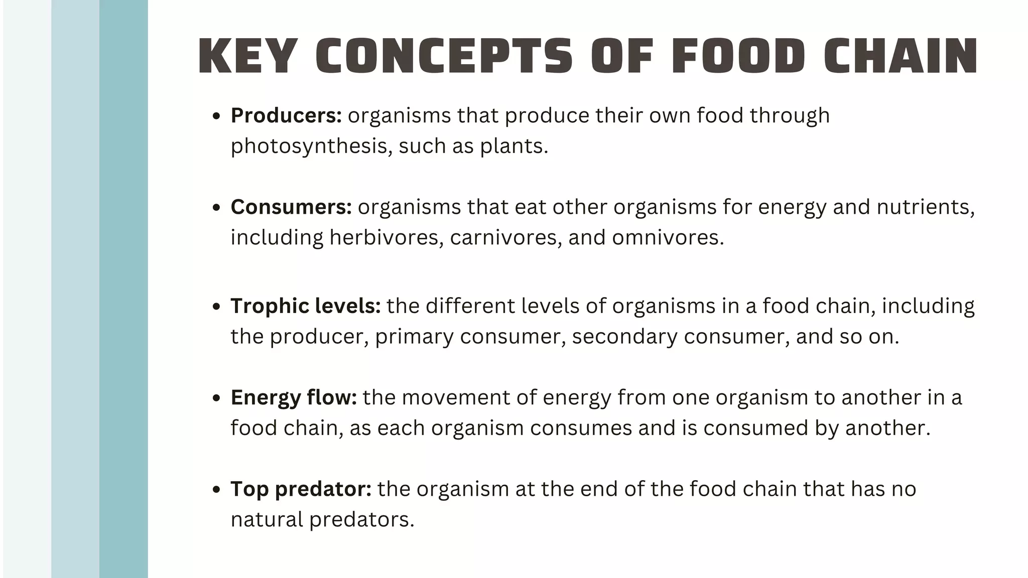 A Comprehensive Guide to Ecosystems, Food Chains, Food Webs, and Energy ...