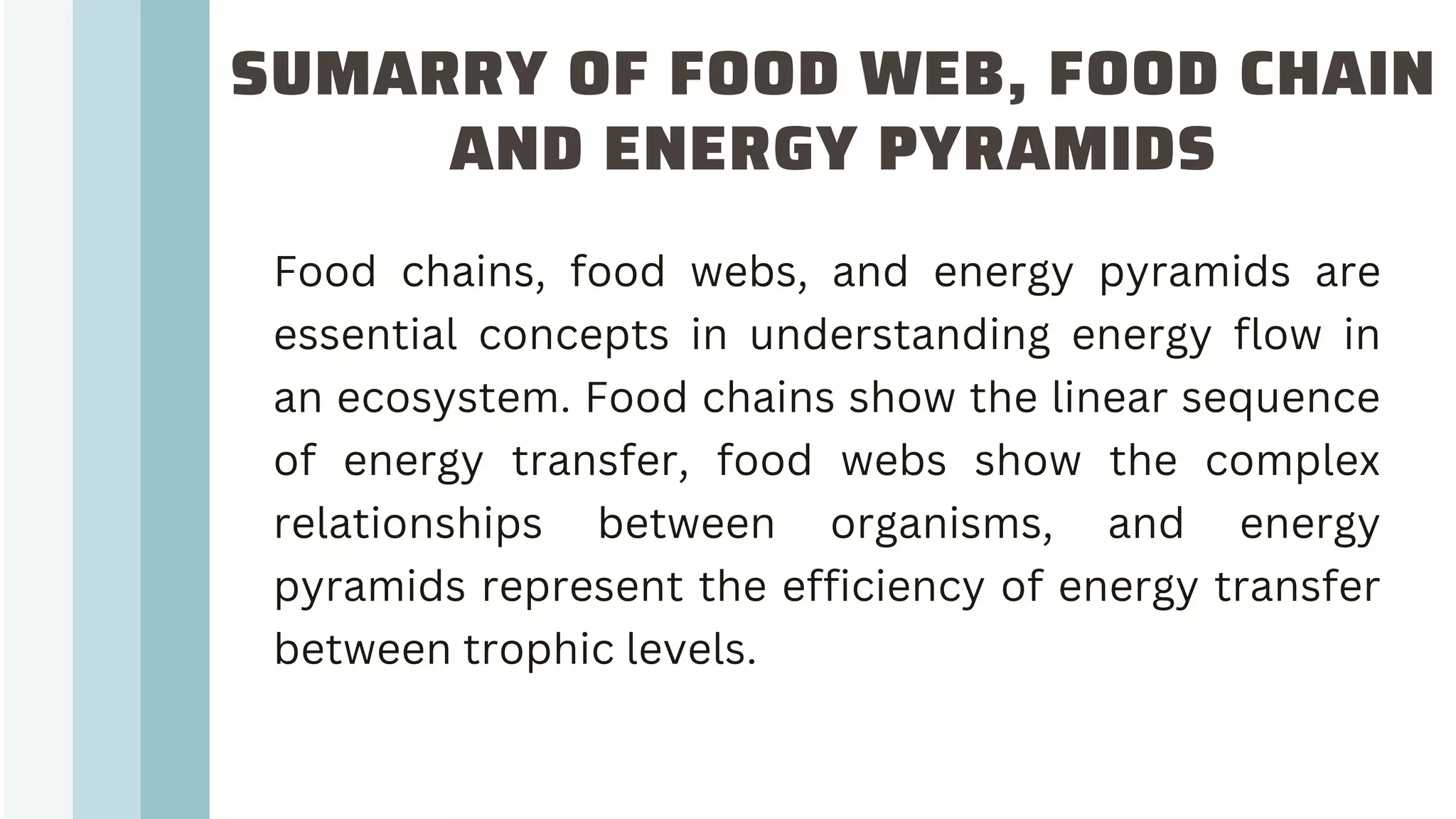 A Comprehensive Guide to Ecosystems, Food Chains, Food Webs, and Energy ...