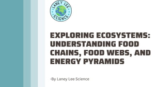 A Comprehensive Guide to Ecosystems, Food Chains, Food Webs, and Energy ...