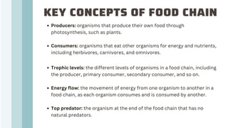 A Comprehensive Guide to Ecosystems, Food Chains, Food Webs, and Energy ...