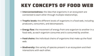 A Comprehensive Guide to Ecosystems, Food Chains, Food Webs, and Energy ...