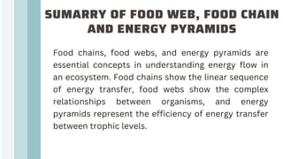 A Comprehensive Guide to Ecosystems, Food Chains, Food Webs, and Energy ...