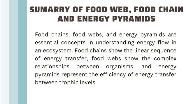 A Comprehensive Guide to Ecosystems, Food Chains, Food Webs, and Energy ...