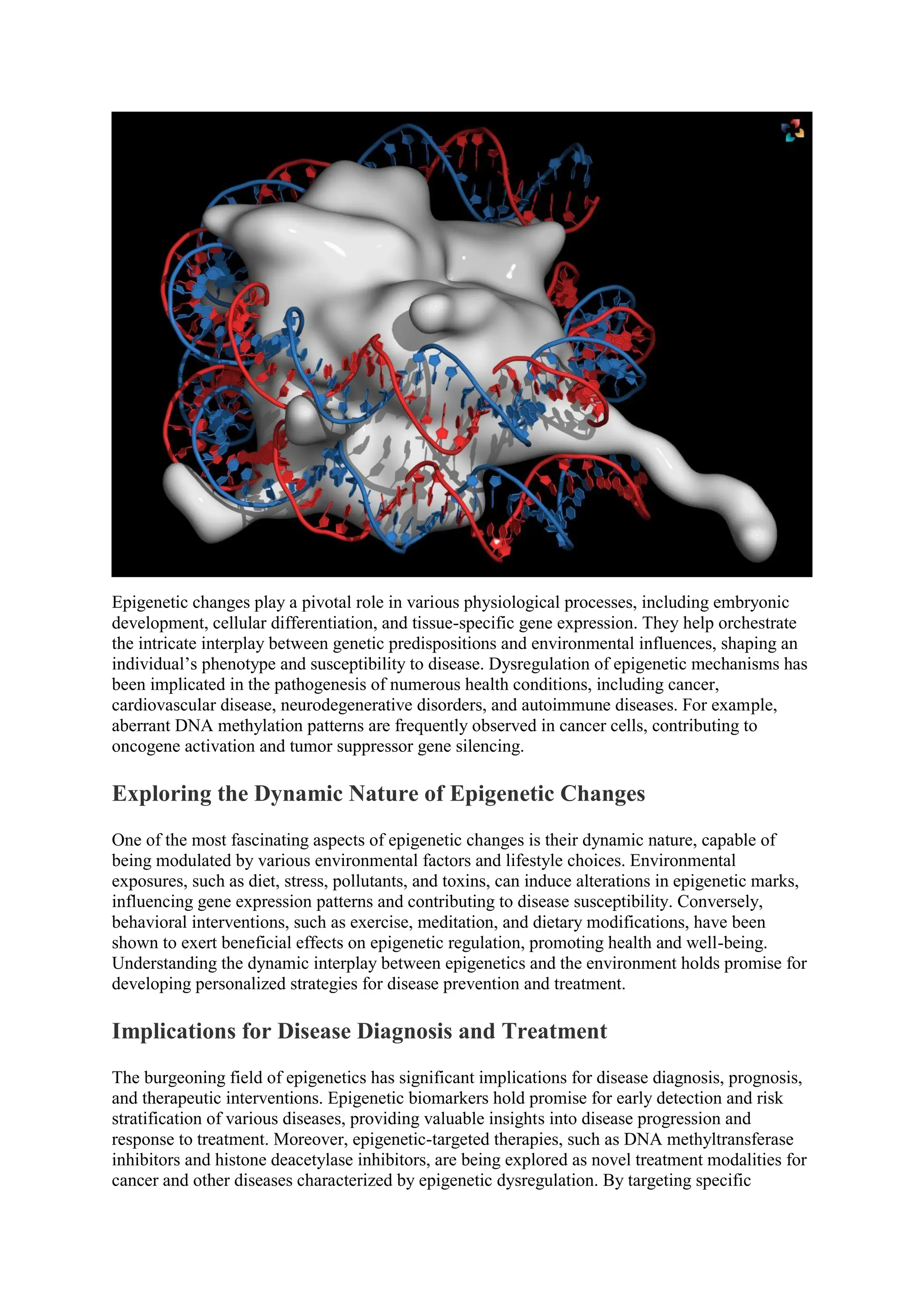 What is Epigenetic Changes? Understanding Their Role in Health and ...