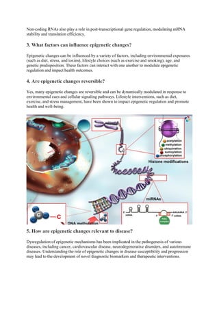 What is Epigenetic Changes? Understanding Their Role in Health and ...