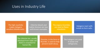 Exploring Halogens - Properties, Applications, and Safety Precautions ...