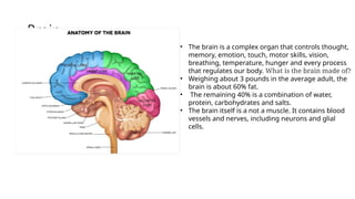 exploring human and plant anatomy for science | PPT
