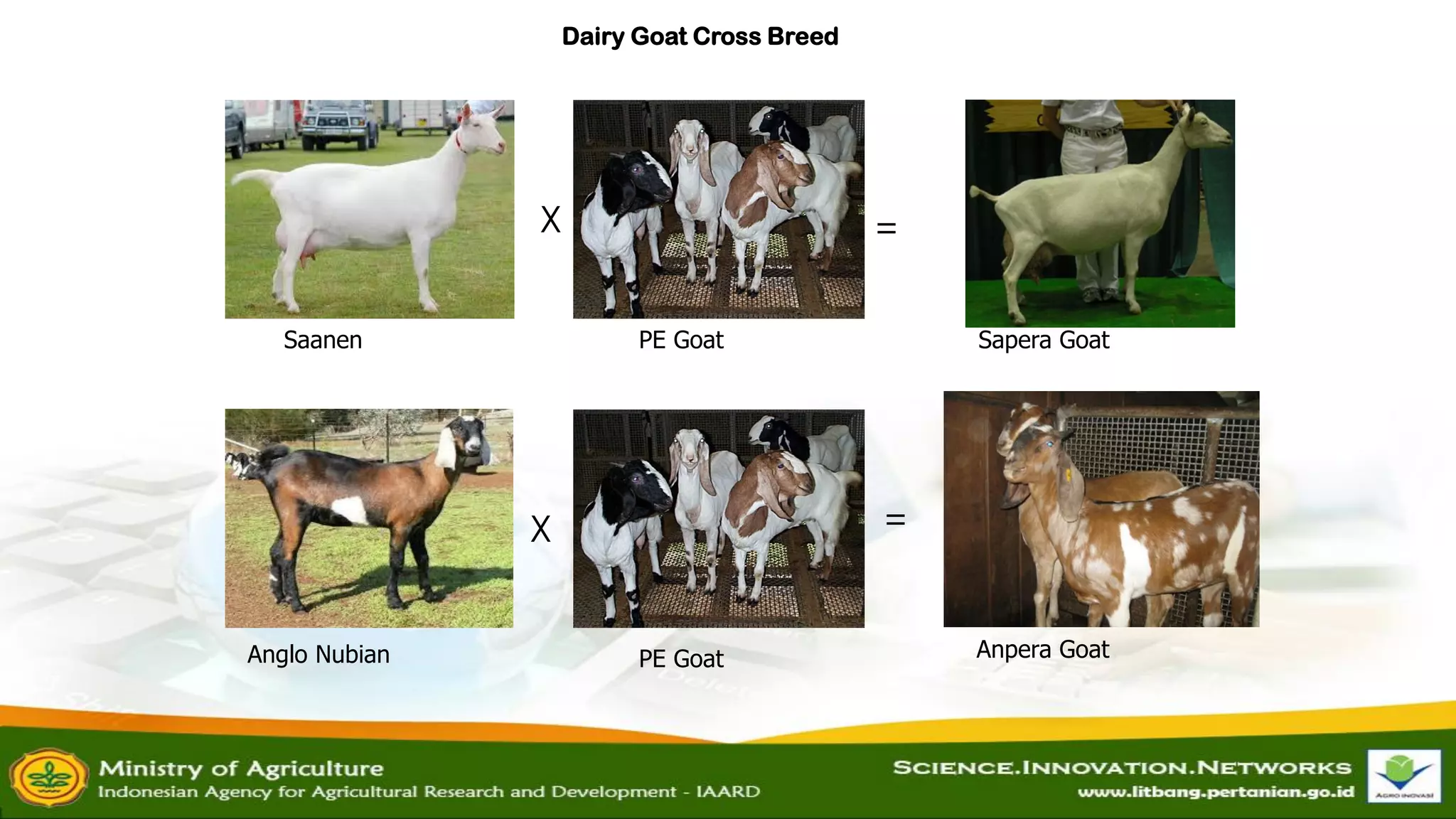 Exploring indonesian livestock system | PPT