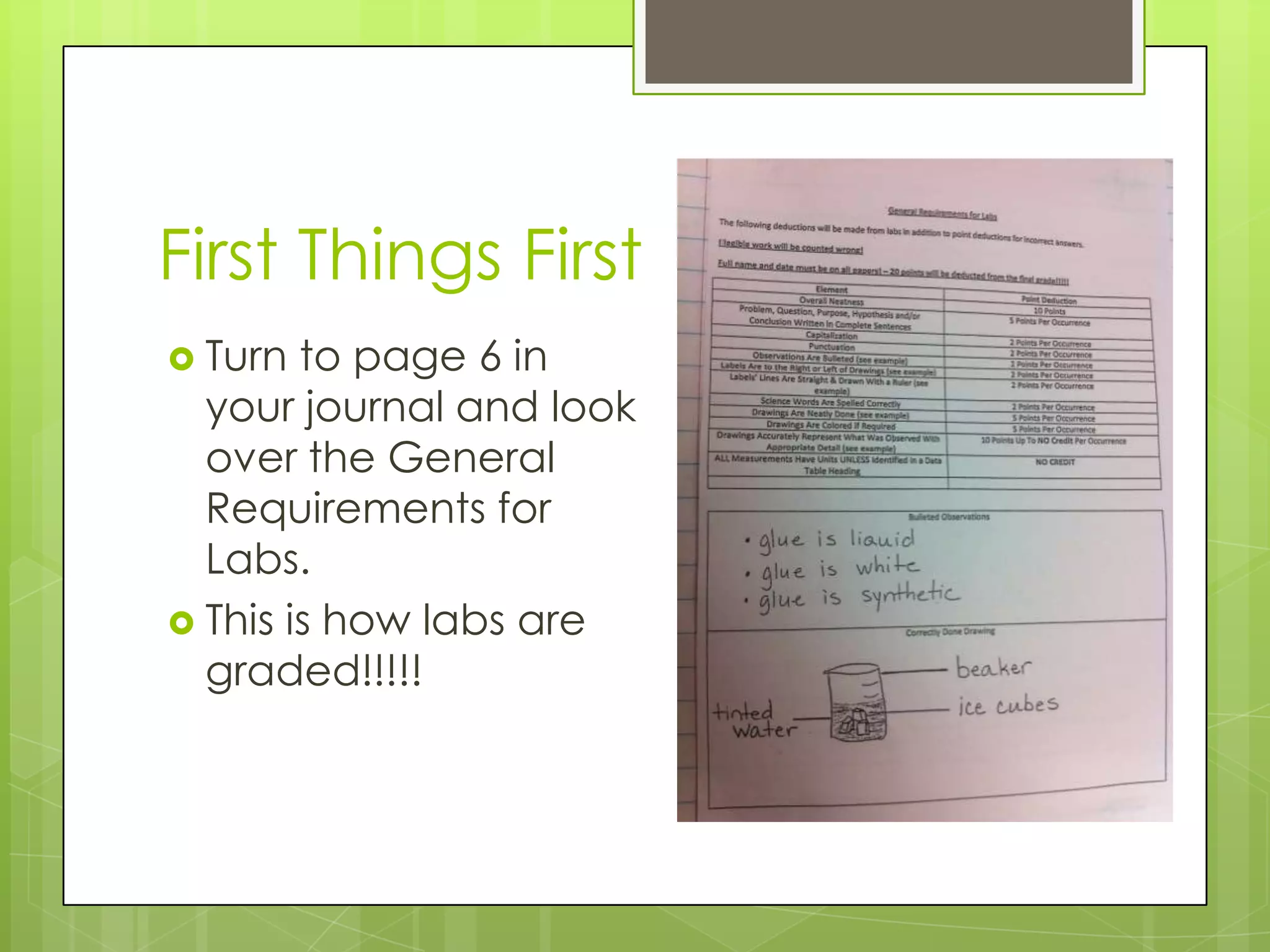 Exploring Leaves Lab | PPT