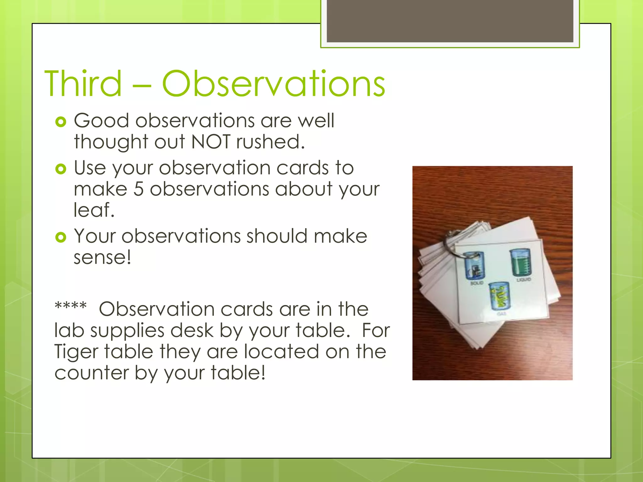 Exploring Leaves Lab | PPT