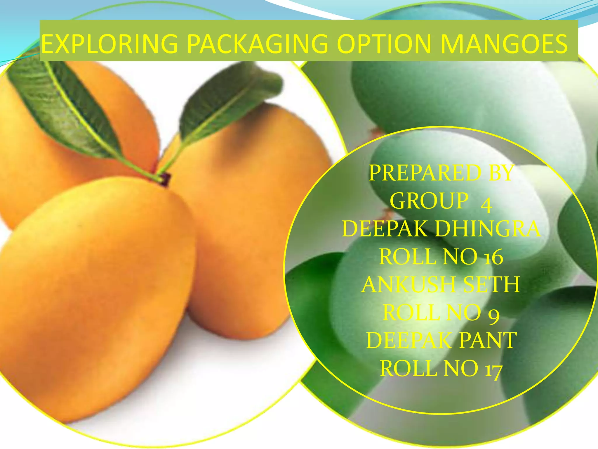 Exploring mangoes logistic for export group 4 iift | PDF