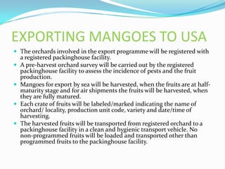 Exploring mangoes logistic for export group 4 iift | PDF