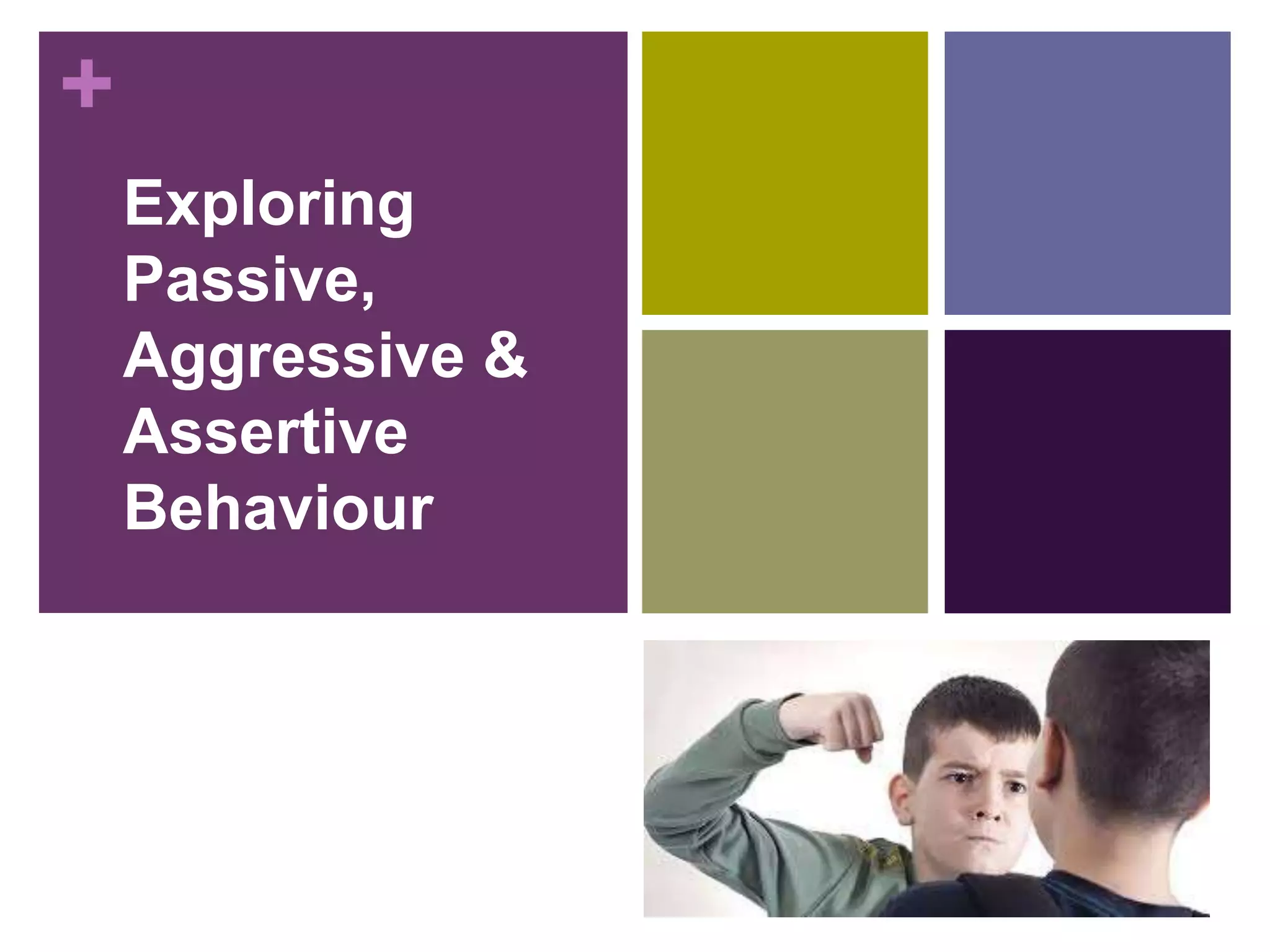Exploring passive, aggressive and assertive behaviour | PPTX