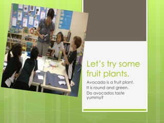 Exploring plant life in | PPT
