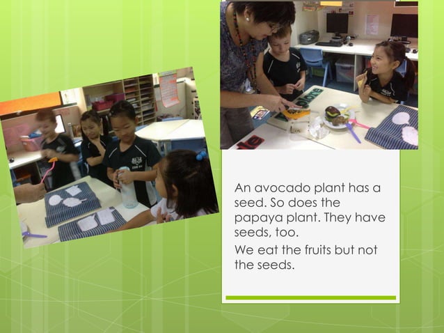 Exploring plant life in | PPT