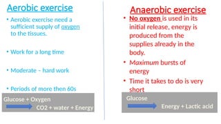 Exploring Respiration in Sports (1).pptx