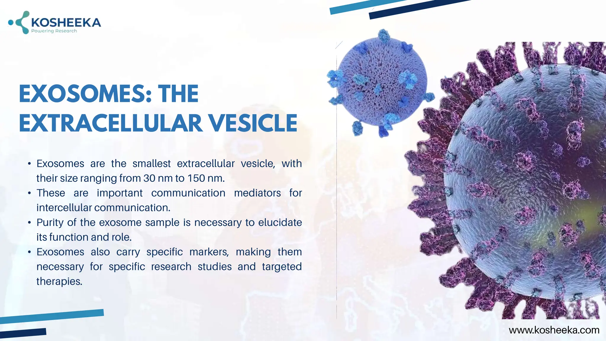 Exosome Isolation from Cell Culture Media | PPTX