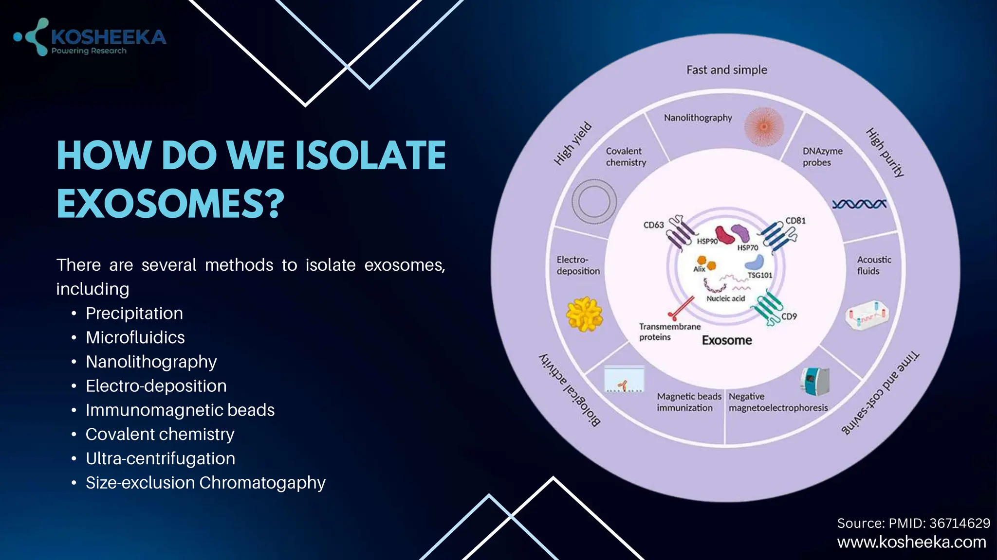 Exosome Isolation from Cell Culture Media | PPT