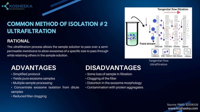 Exosome Isolation from Cell Culture Media | PPT | Free Download