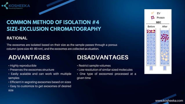 Exosome Isolation from Cell Culture Media | PPT | Free Download