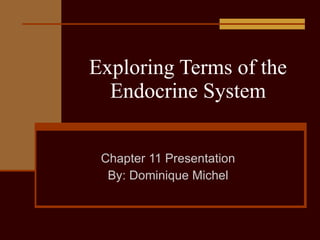 Exploring Terms Of The Endocrine System | PPT