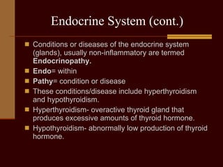 Exploring Terms Of The Endocrine System | PPT