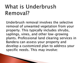 Exploring the Benefits of Professional Underbrush Removal in Bandera ...