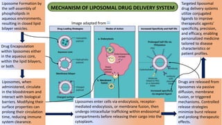 Exploring the Intricacies of Liposomes.pptx