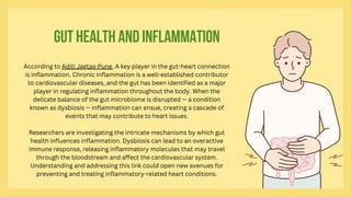 Exploring the Link Between Gut Health and Cardiovascular Wellness — Dr ...