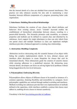 Exploring the Pillars of Object java.pdf