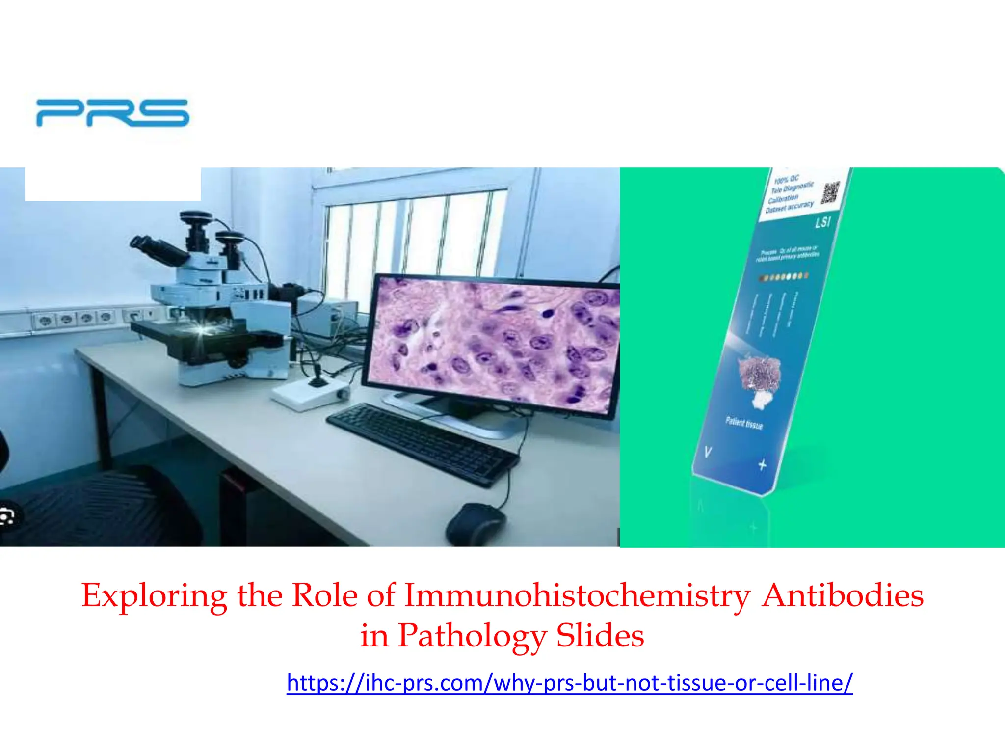 Exploring the Role of Immunohistochemistry Antibodies in Pathology ...