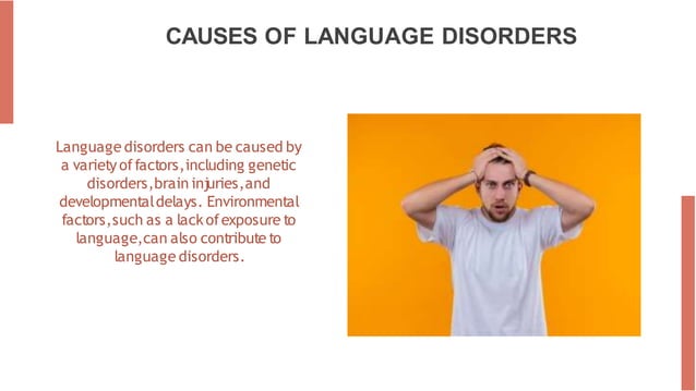 Exploring the Scope Of Language Disorders Treated By Speech Therapists ...