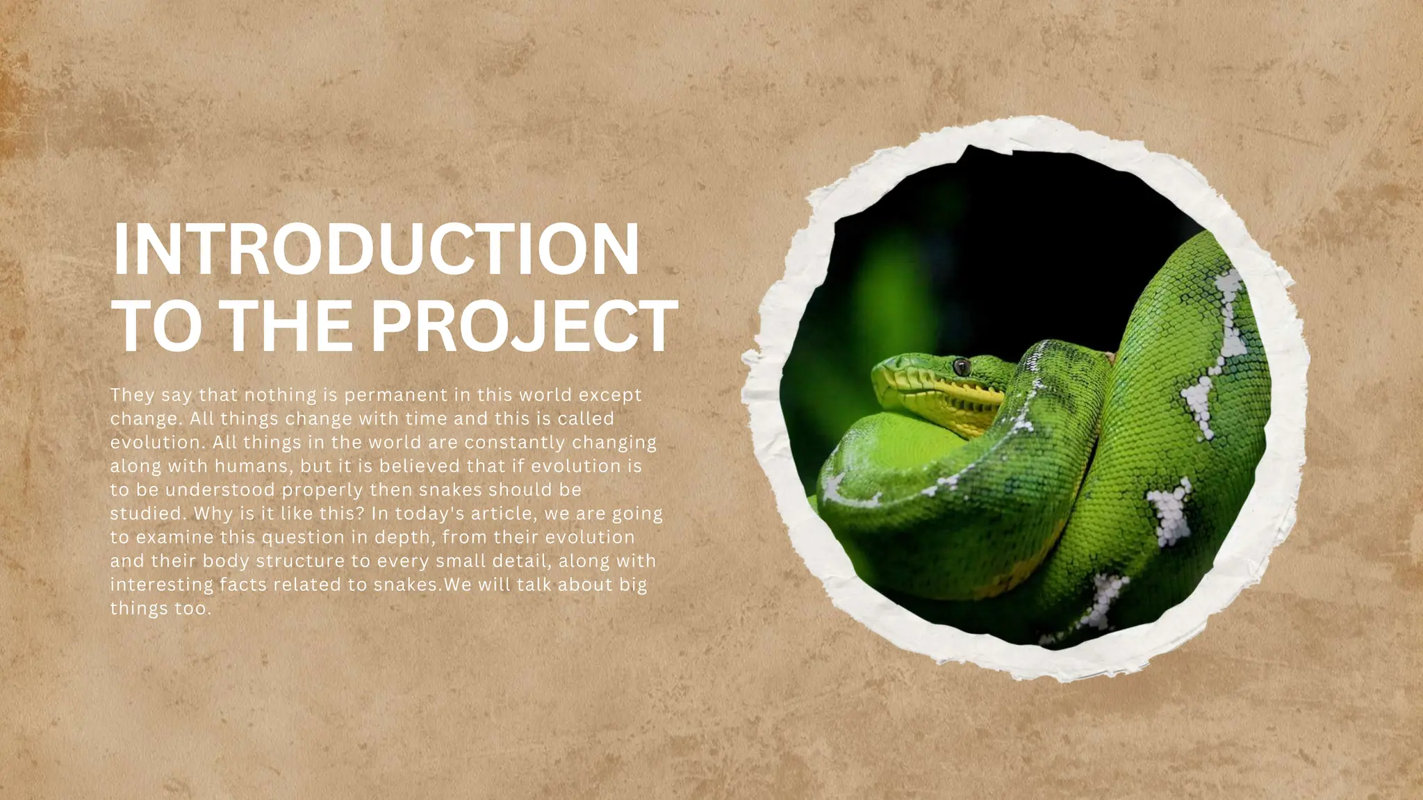 Exploring the snake evolution (wild's gravity).pdf