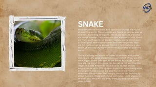 Exploring the snake evolution (wild's gravity).pdf
