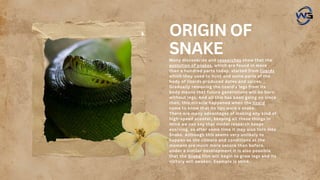 Exploring the snake evolution (wild's gravity).pdf