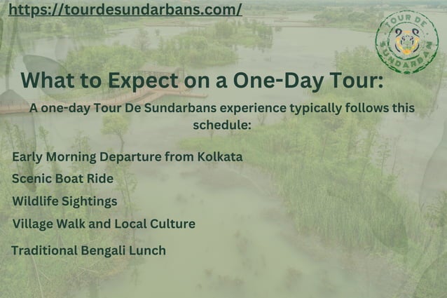 Exploring the Sundarbans: A Day Trip Option for Kolkata Visitors | PPT