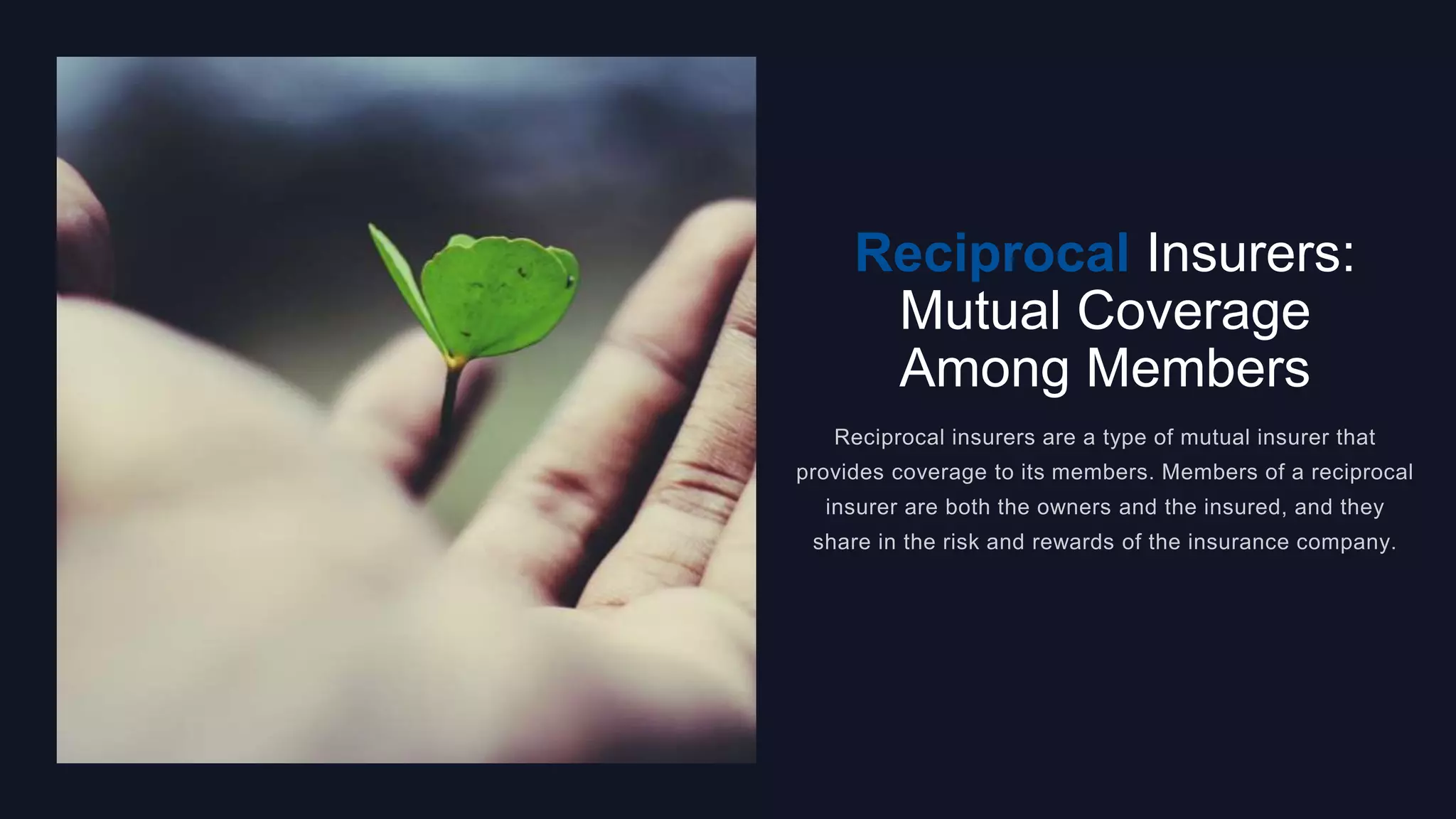 Exploring The Types Of Insurers 2 Pptx