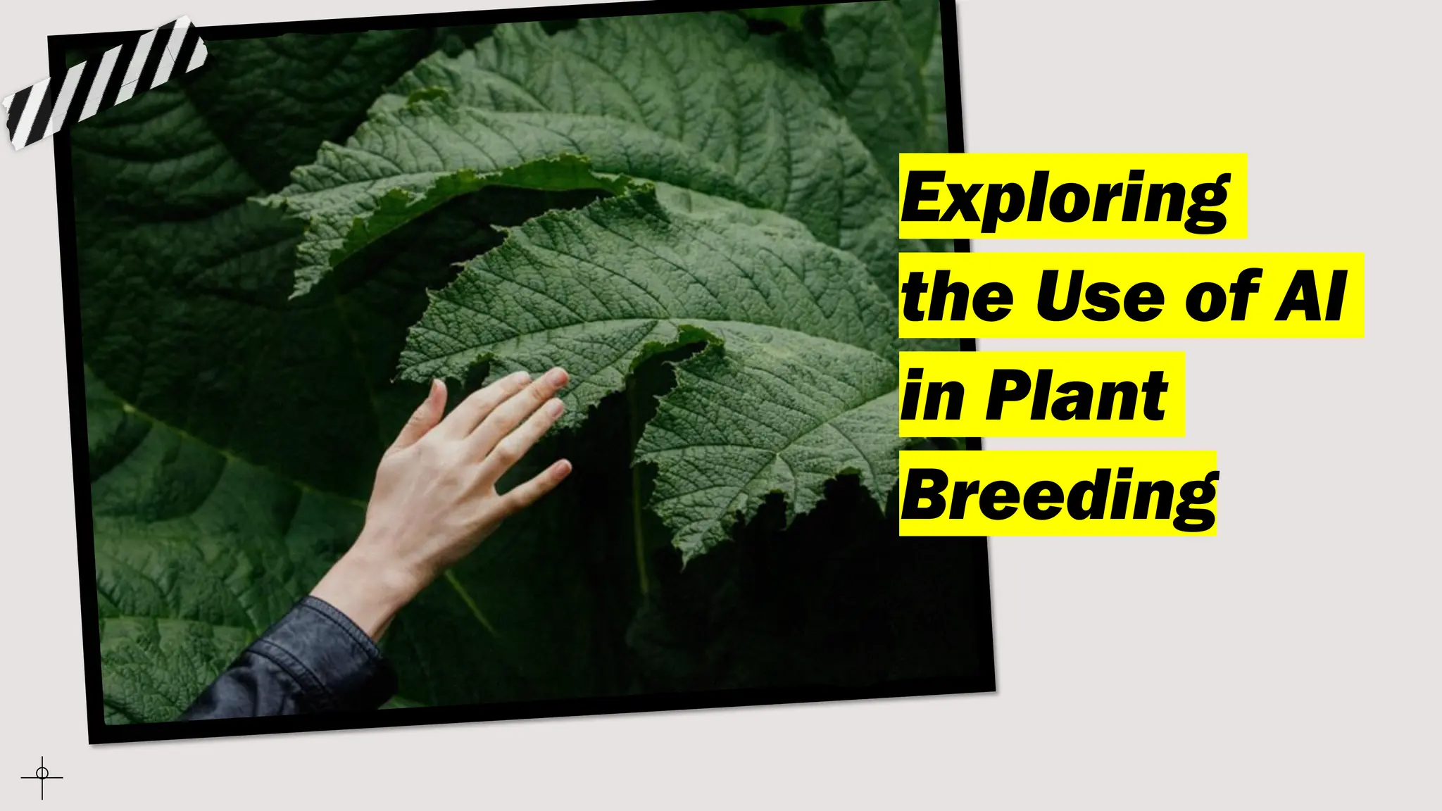 Exploring the Use of AI in Plant Breeding | PDF