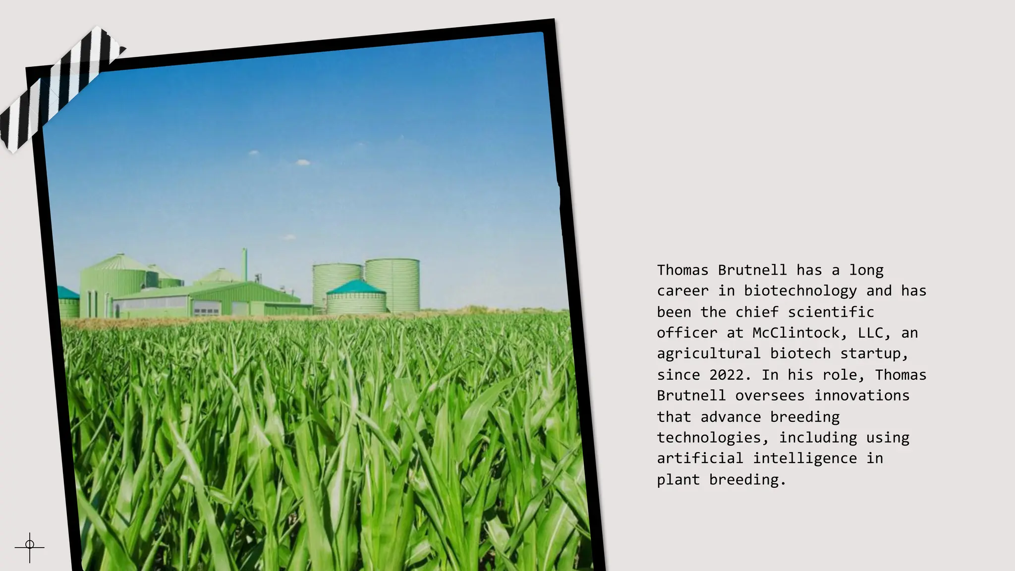 Exploring the Use of AI in Plant Breeding | PDF