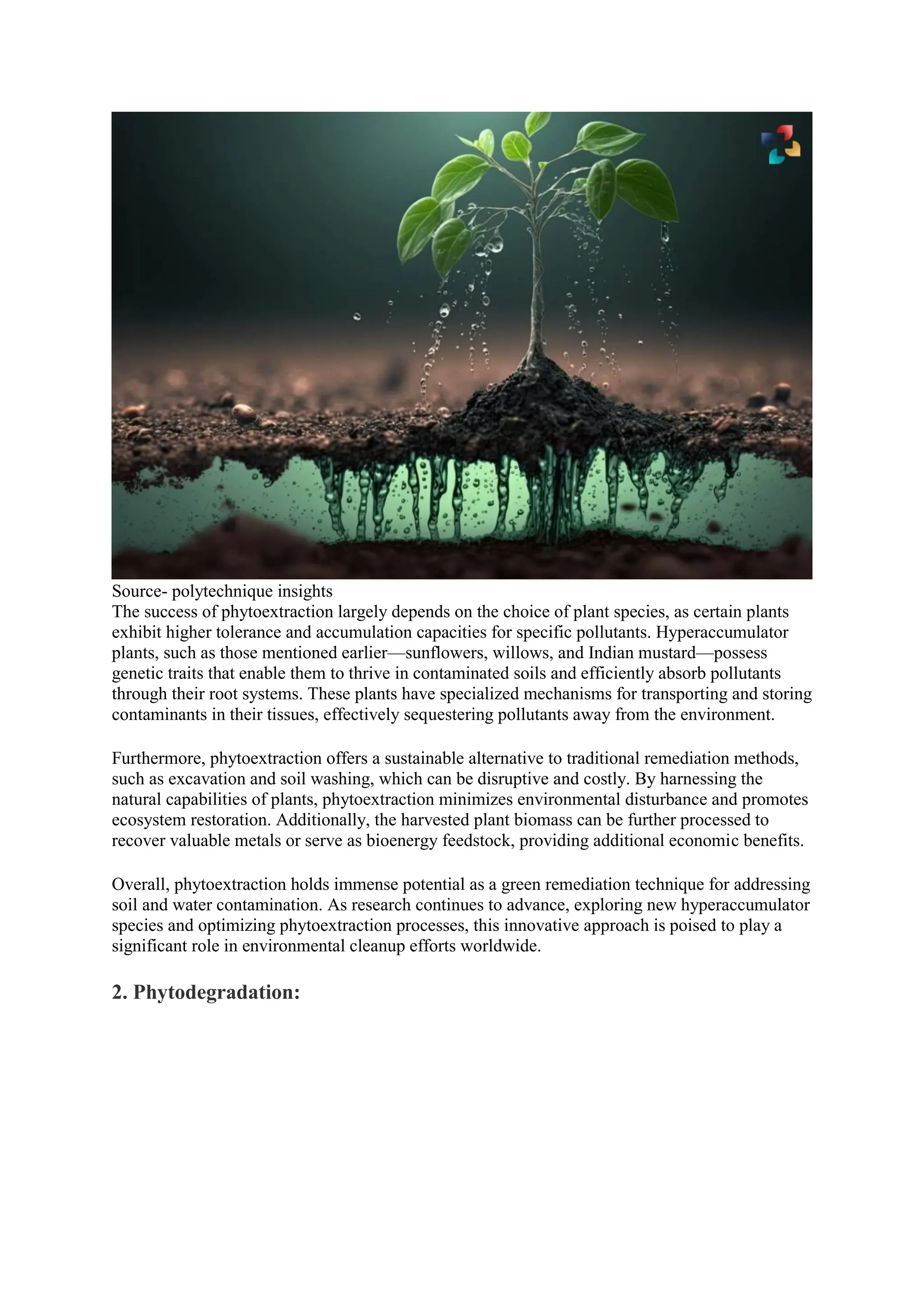 Phytoremediation in Plants: Types, Mechanisms, and Environmental ...