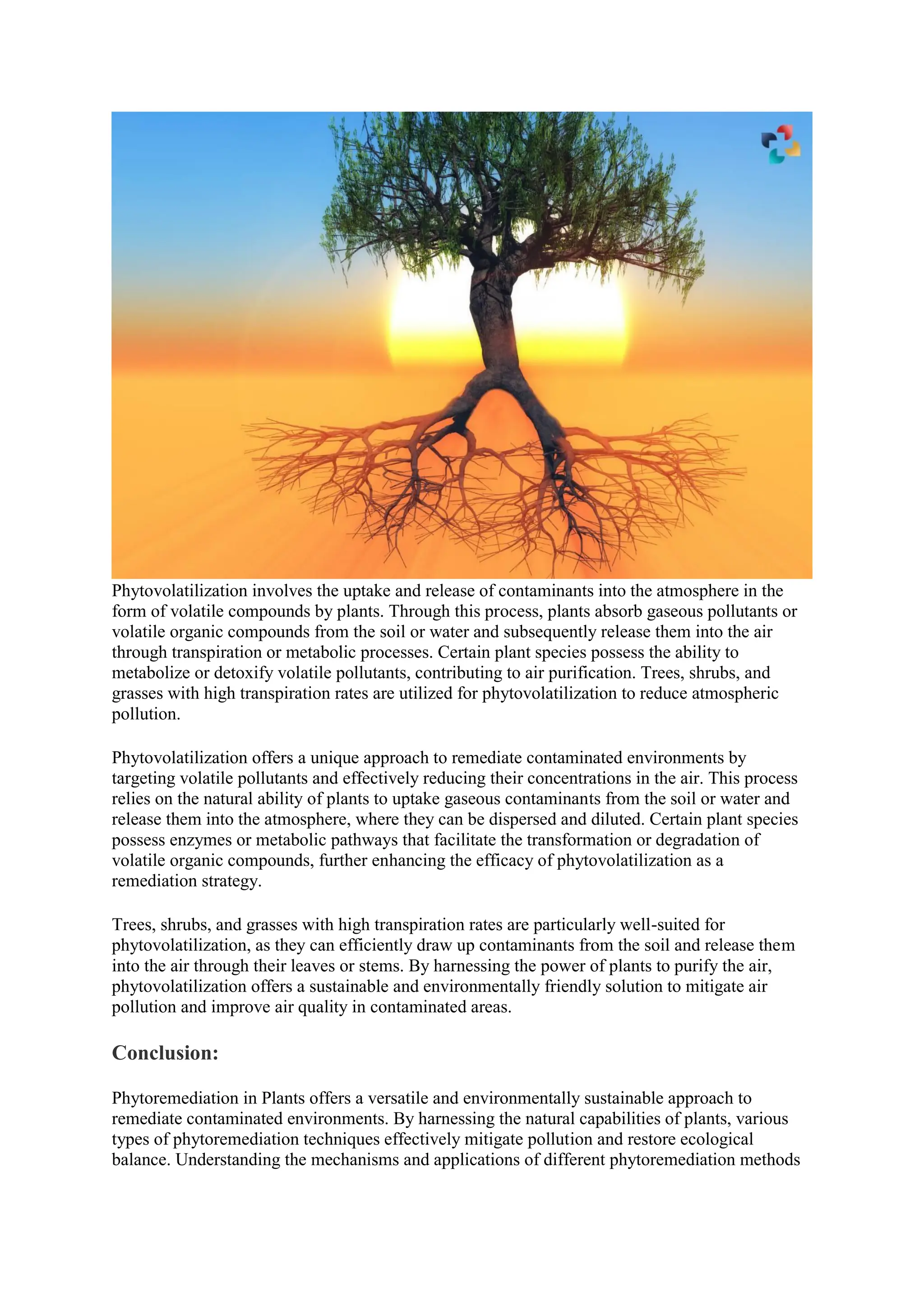 Phytoremediation in Plants: Types, Mechanisms, and Environmental ...