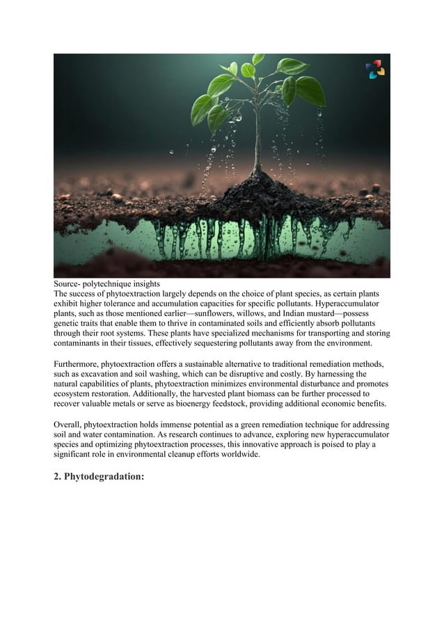 Phytoremediation in Plants: Types, Mechanisms, and Environmental ...