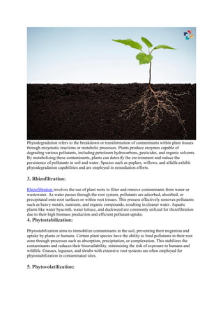 Phytoremediation in Plants: Types, Mechanisms, and Environmental ...