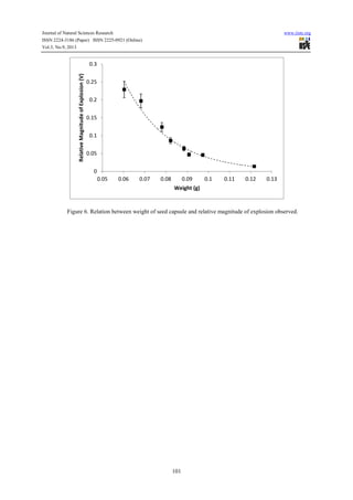Explosion phenomenon observed from seed capsules of pletekan (ruellia ...