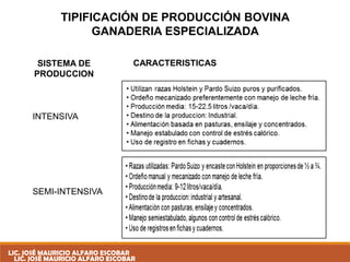 Explotación Ganadera | PDF