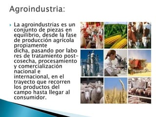 Explotacion agroindustrial del neem (nim) | PPTX