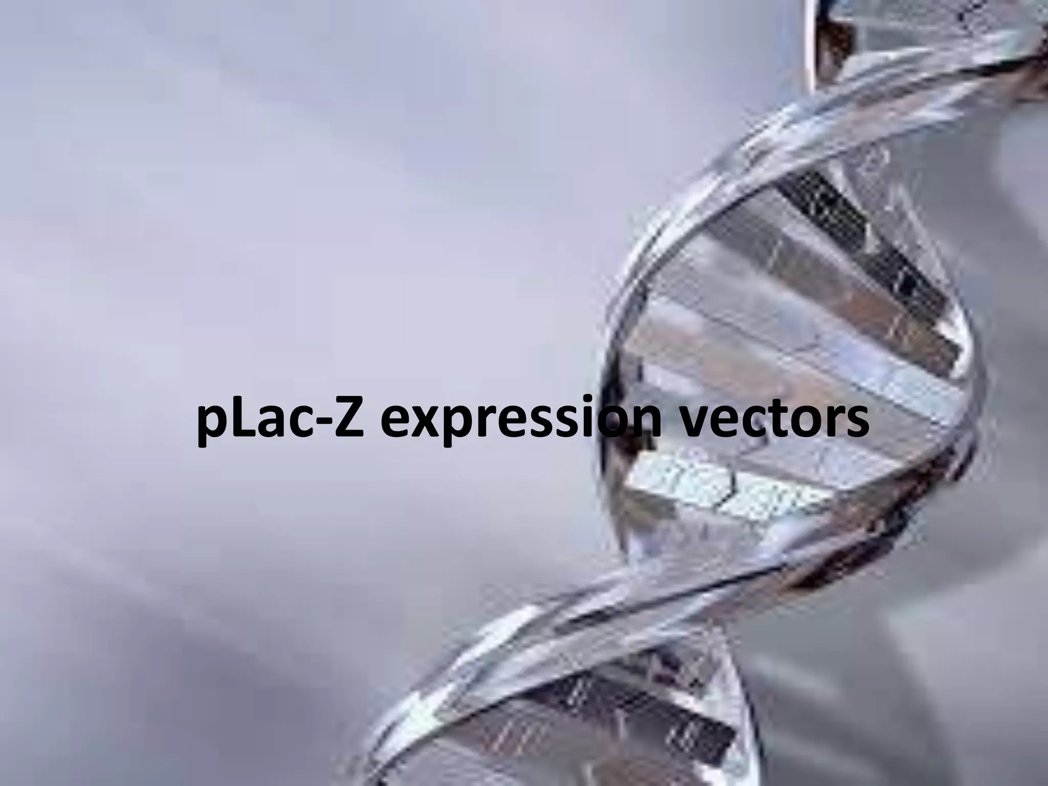 Expression vectors | PPTX