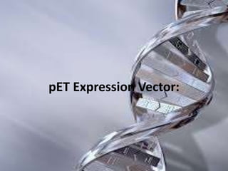 Expression vectors | PPTX