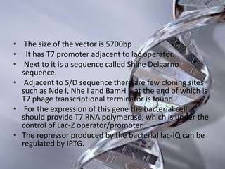 Expression vectors | PPTX