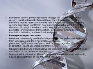 Expression vectors | PPTX